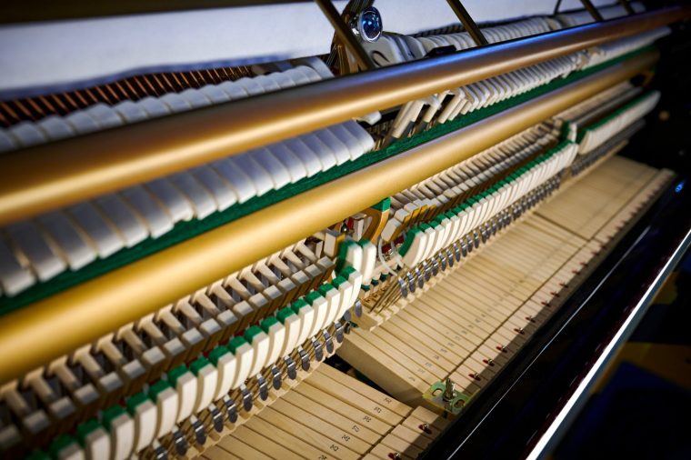 ‘I’m a piano tuner – I’ve found unmentionable things under the keys’