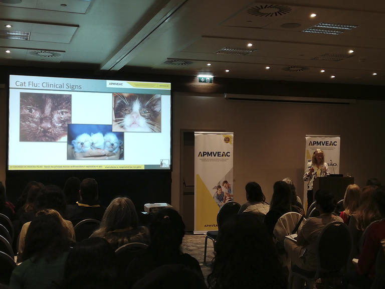 IX Congresso de Medicina Felina: “Gripe felina” e doenças ...