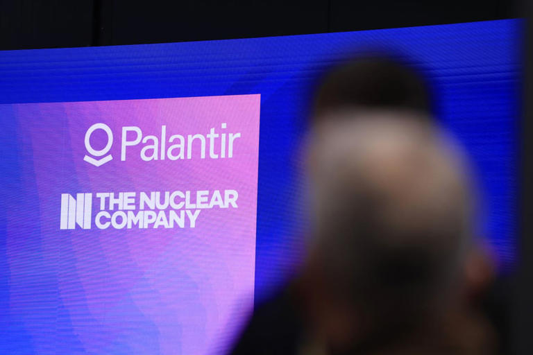 Palantir stock has stalled. Now some investors want to probe its human ...