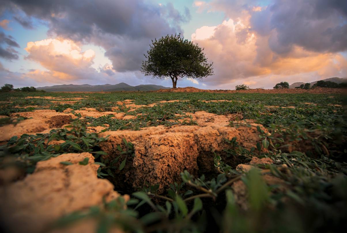 'Godzilla' El Niño predicted to wreak havoc on entire world