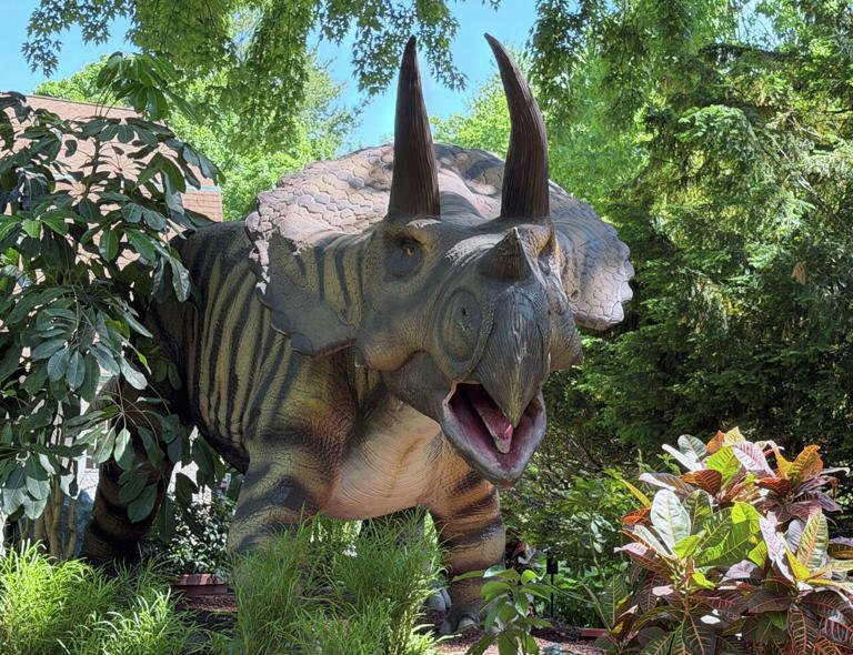Photos: Dinosaurs around the world comes to Dow Gardens