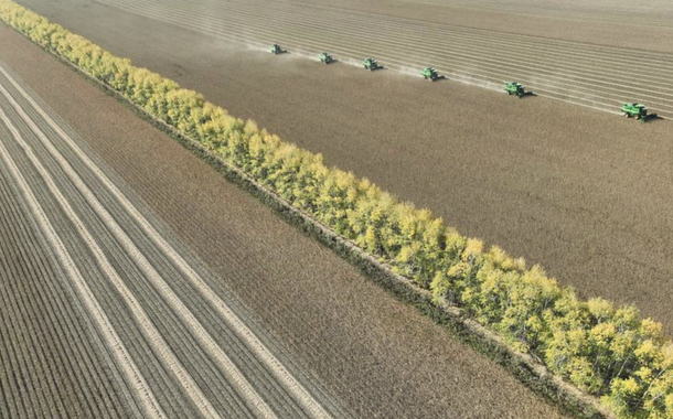 China divulga plano quinquenal para modernização da agricultura e das ...