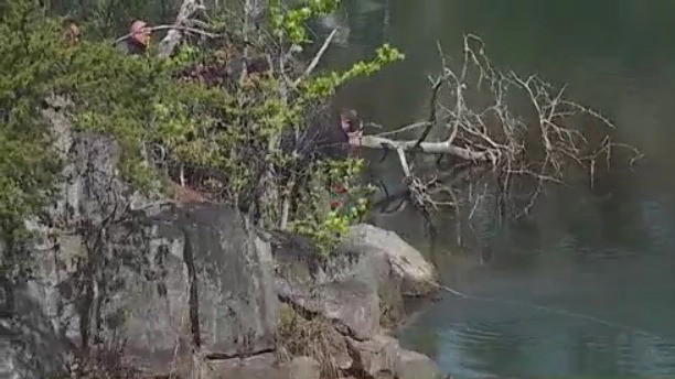 Human remains found during FBI dive at NC rock quarry connected to ...