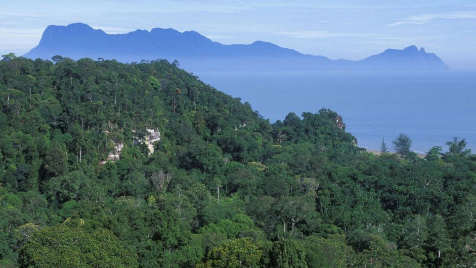 Borneo adventures that give back to nature