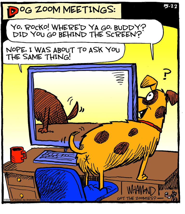 Reality check by Dave Whamond