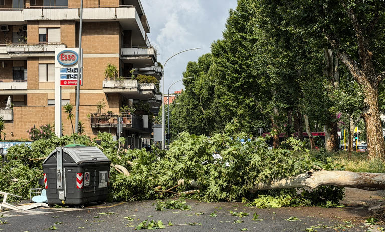 Maltempo: tromba d'aria a Roma, alberi caduti e traffico in tilt