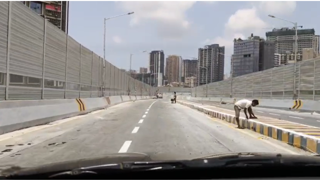 Mrinal Tai Gore flyover extension set to change Mumbai's commute; what ...