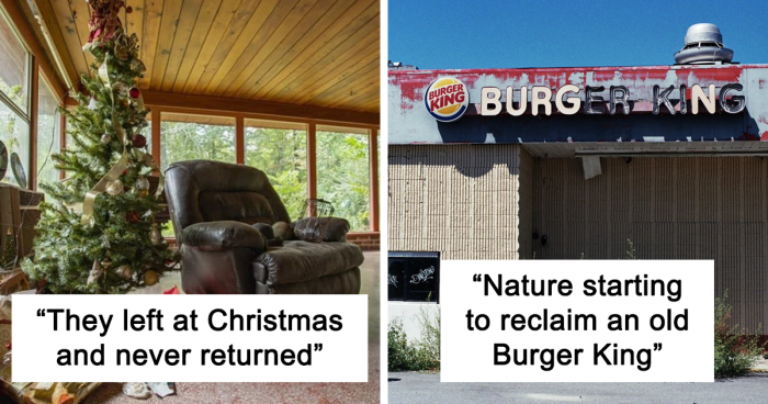 34 fascinating abandoned locations where nature is reclaiming the land