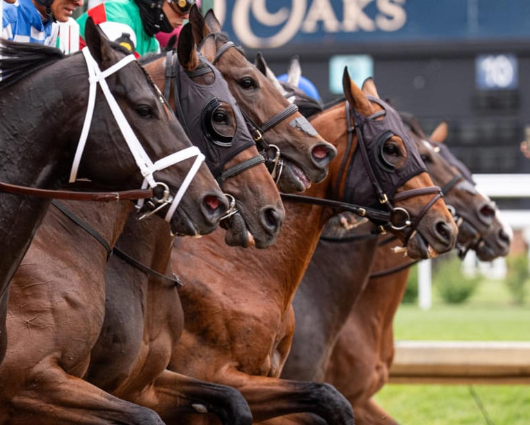 Belmont Stakes 2026: What is the best post position gate?