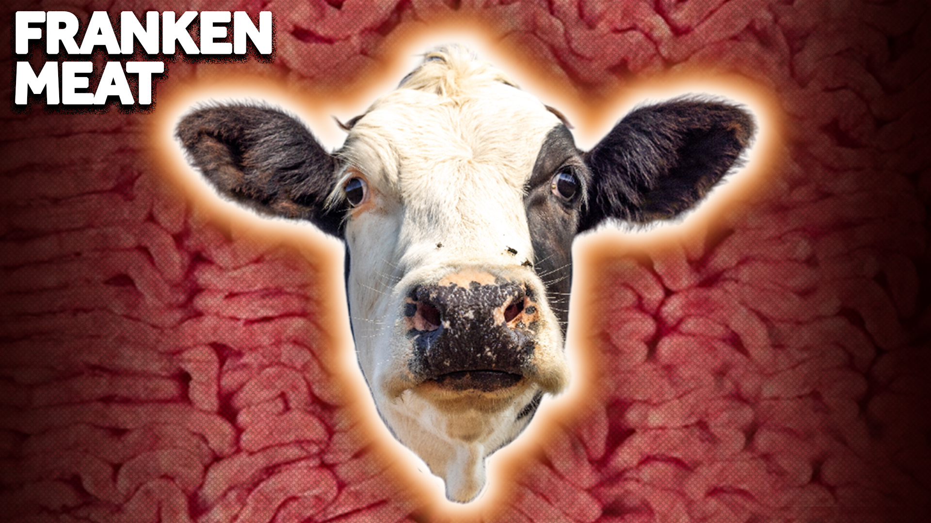 A detailed look at the ingredients found in fast food hamburgers