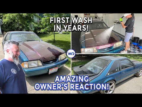 Rescuing abandoned barn find Ford Mustang after 8 years of neglect
