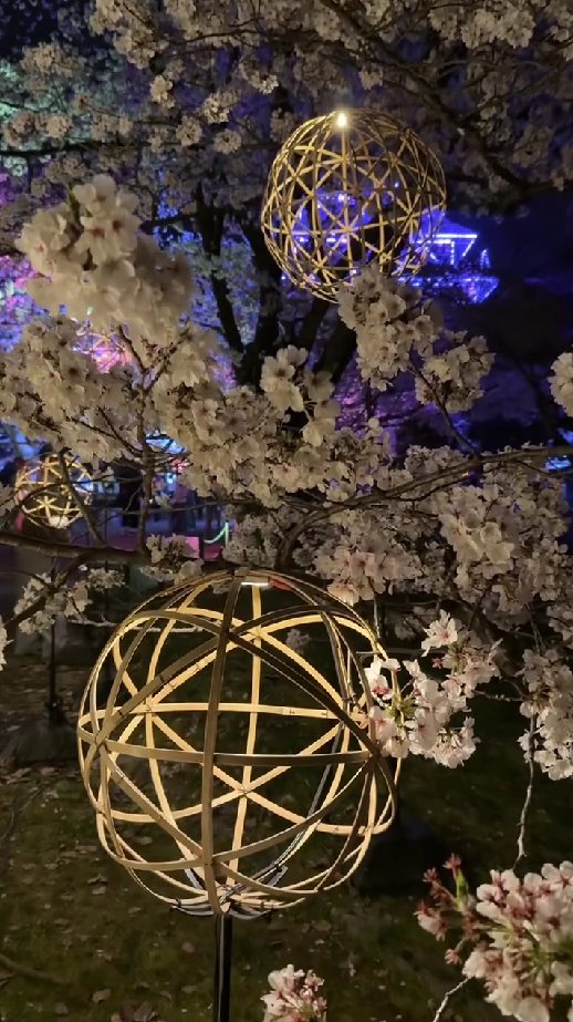 Experiencing Japan’s sakura away from the crowds