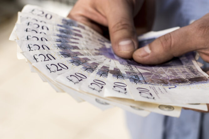 Goodbye Churchill, hello hedgehog? The wildlife in line for UK banknotes