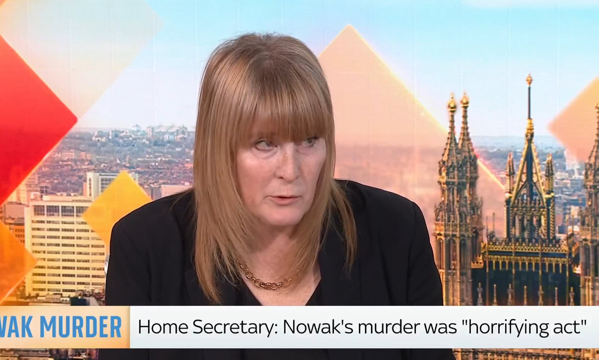 Ministers admit police anti-racism guidance is 'wrong' amid Henry Nowak ...