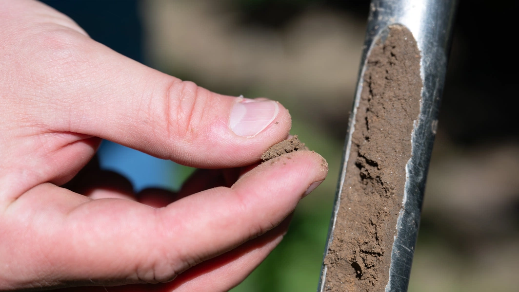Grow smarter with soil-first gardening tips