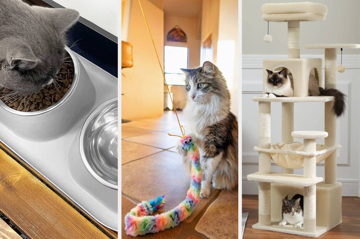 If your cat is the light of your life, you'll want these 30 items from ...