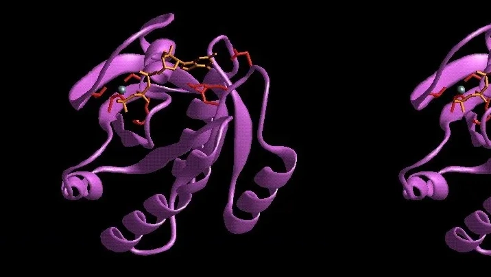 Researchers control protein quantum states using radio waves