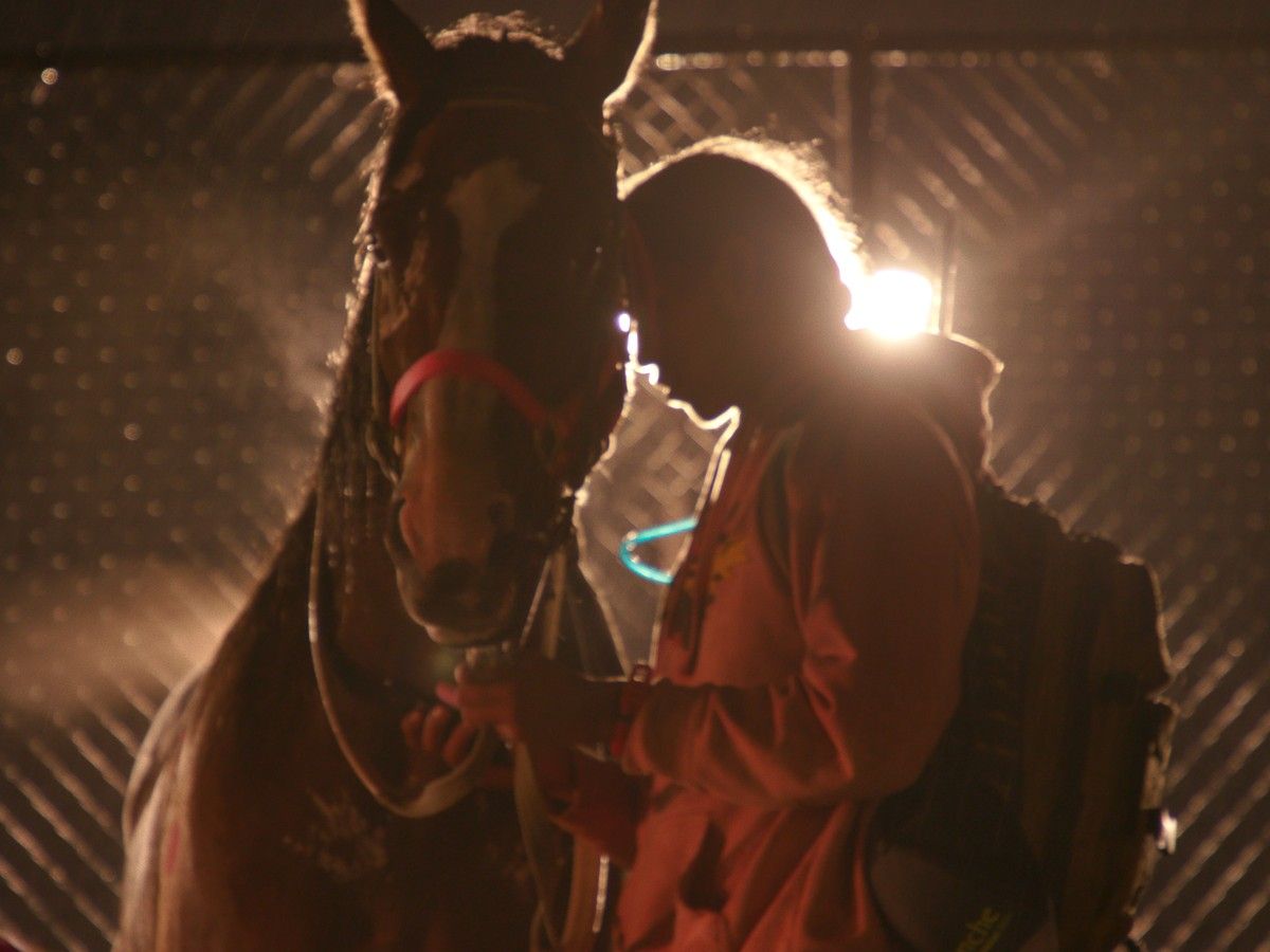 Inside man: Blackfoot filmmaker Trevor Solway spent four years making ...