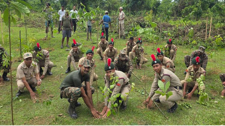 Army-led drive plants 10,000 saplings across Upper Assam ahead of ...