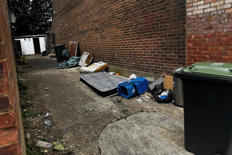 Hundreds sign petition for action to save Luton’s Dallow ward as ...