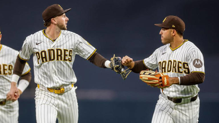 Padres notes: Outfielder lost to IL, catcher linked to Yankees, Tarik ...