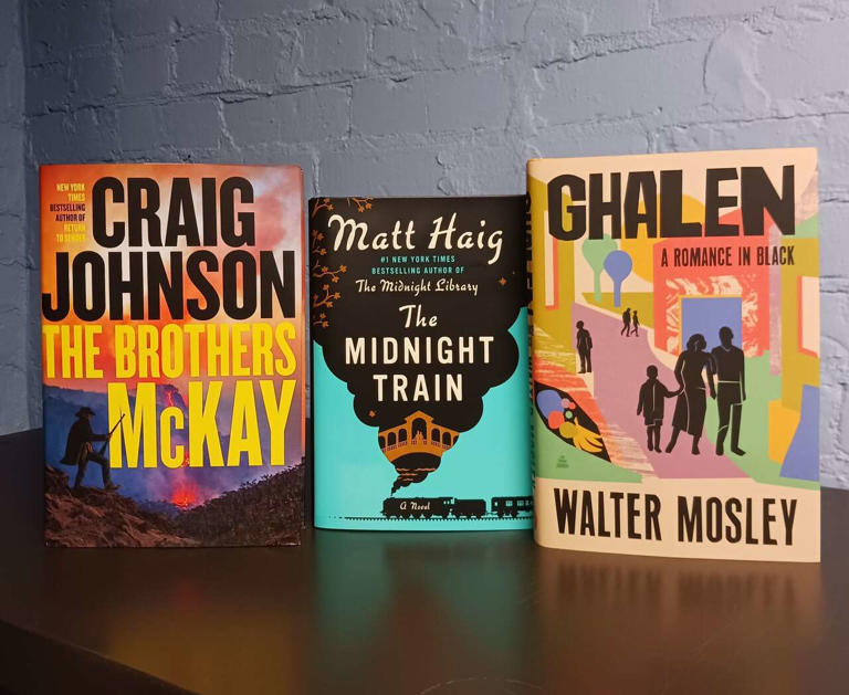 Manistee County Library staff shares new summer reads for all ages