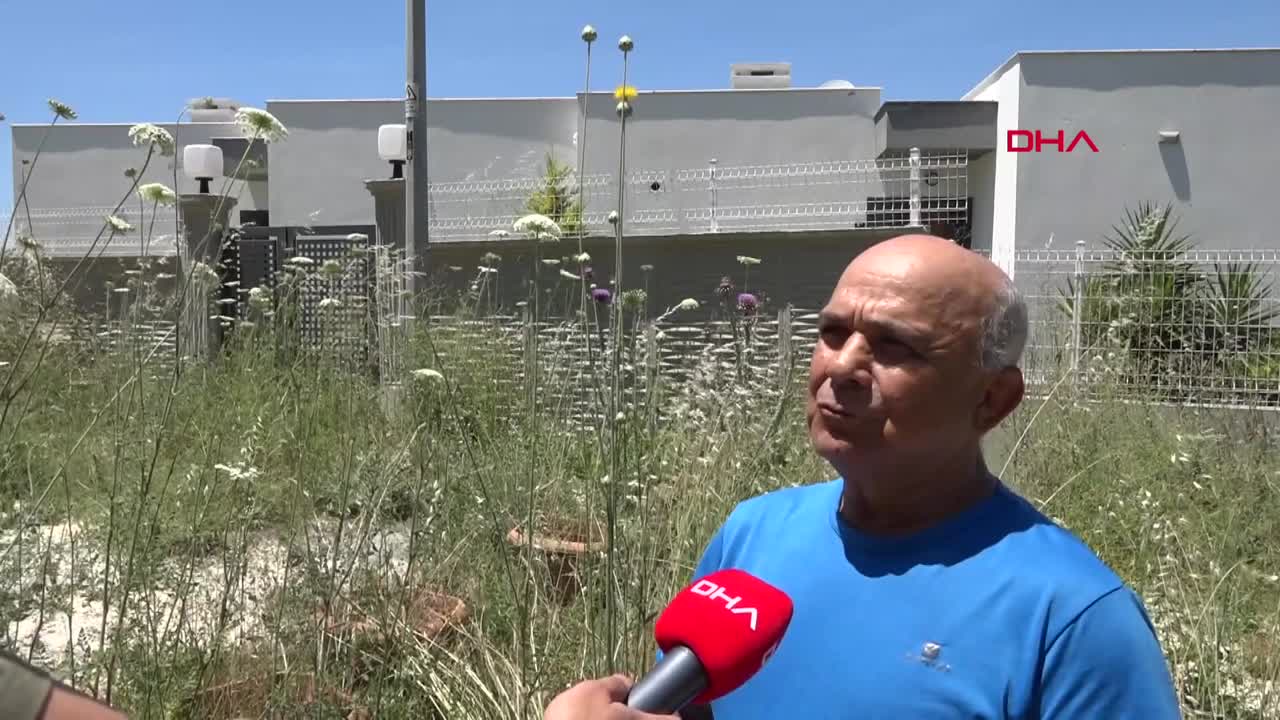 Kuşadası'nda tülüşah çiçeği açtı