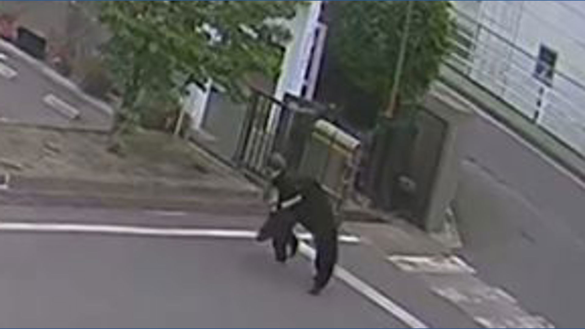 A bear injures 4 people in a residential area of Japan as attacks rise