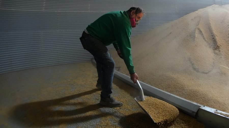 Midwest farmers’ struggles test GOP loyalty ahead of midterms