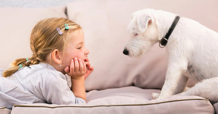 Científicos descubren qué parte de la cara observan primero los perros ...