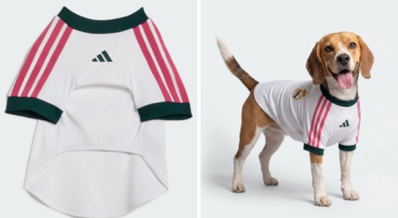 Real Madrid, la maglia ora è anche per i cani: la novità di Adidas dopo ...