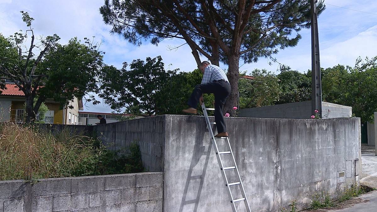 Muro de betão acaba com décadas de disputa judicial e obriga casal a ...