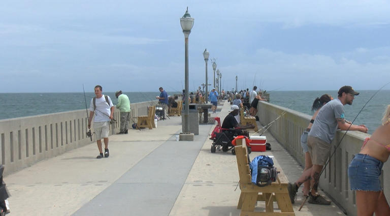 NCWRC announces 2026 flounder harvest season dates