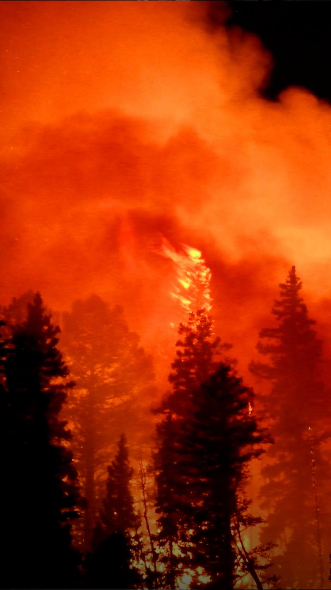 Essential wildfire safety tips you should know