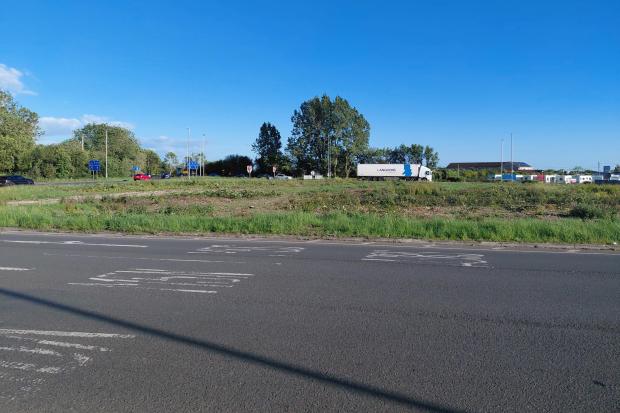 Somerset Council urged to plant more trees after M5 roundabout upgrade