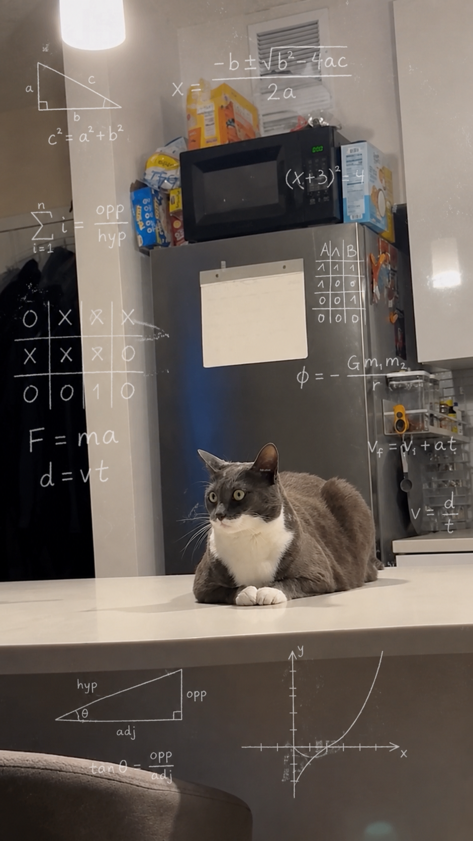 The cat entered full simulation mode