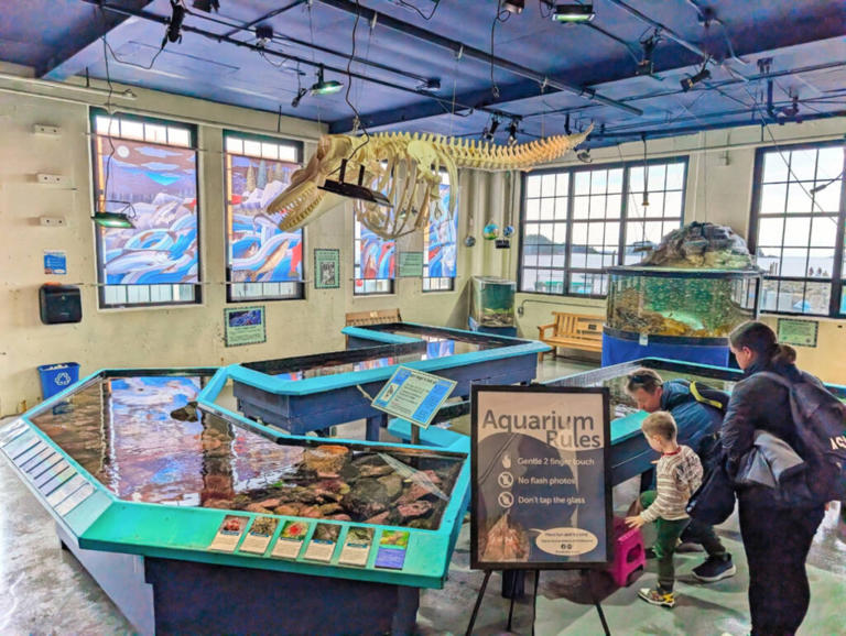 Visiting the Sitka Sound Science Center and Salmon Hatchery