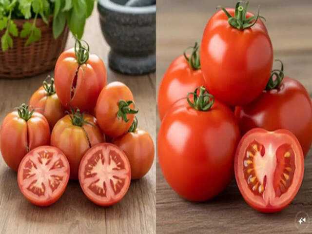 How to distinguish between desi and hybrid tomatoes
