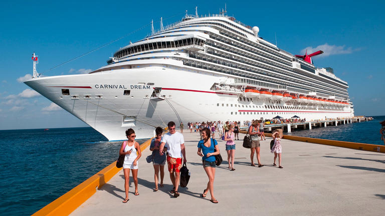 Cruise passenger hailed as hero after jumping into water to save 84 ...