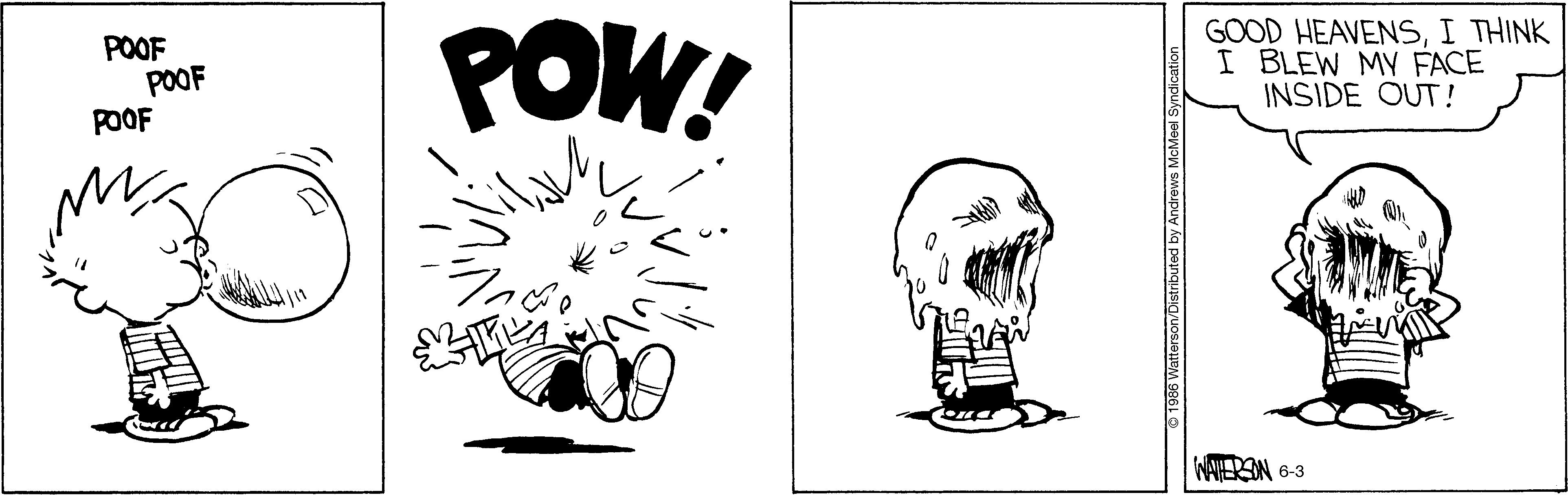 Calvin and Hobbes by Bill Watterson