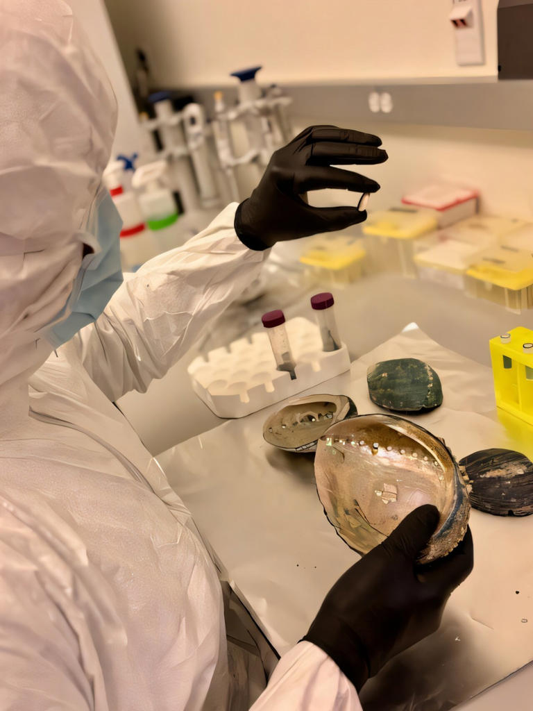 Ancient DNA offers hope for California's critically endangered black ...