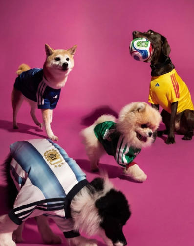 Real Madrid, la maglia ora è anche per i cani: la novità di Adidas dopo ...