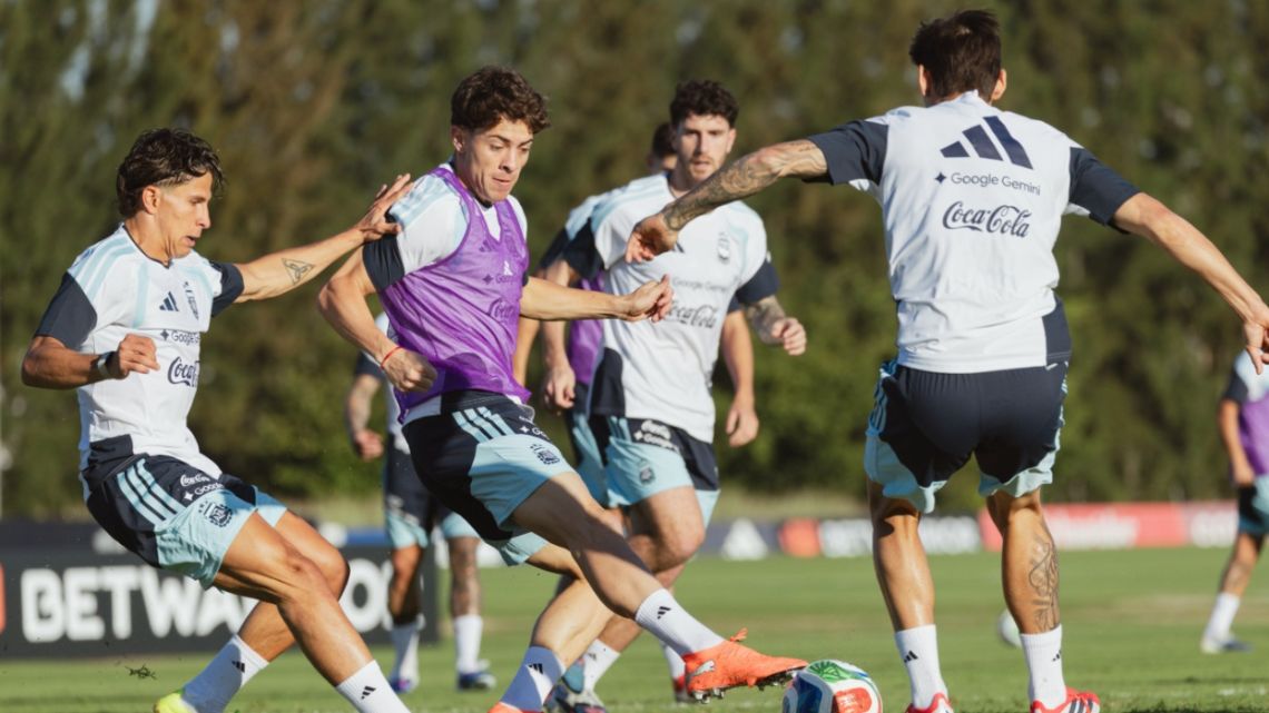 Preocupación en la selección: Scaloni llamó a un convocado de ...