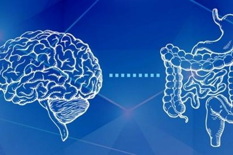 DCA e asse cervello-intestino: Il ruolo del microbiota nella salute ...