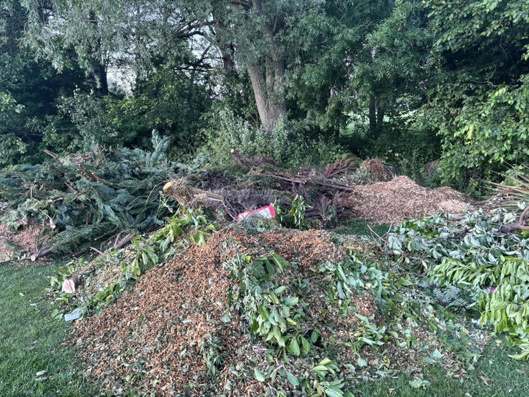 Anger after travellers leave behind 'dirty nappies' and 'human ...