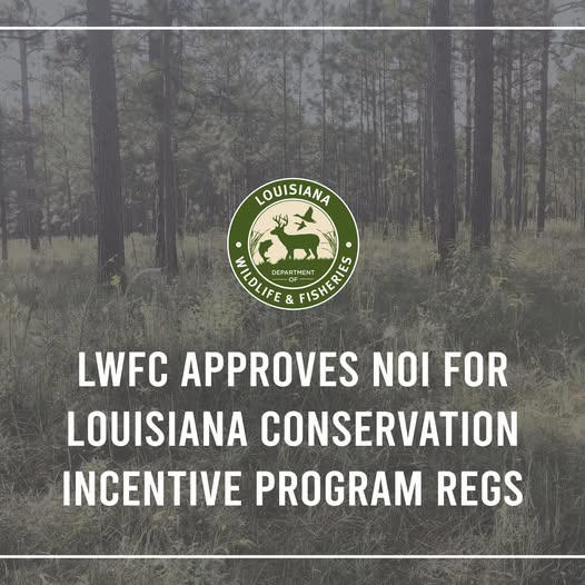 LDWF approves NOI to establish new conservation incentive program ...