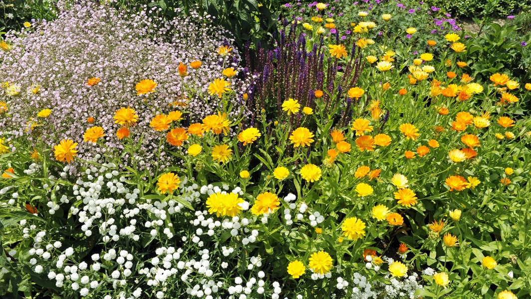 Perennial gardens that feed and flourish year-round