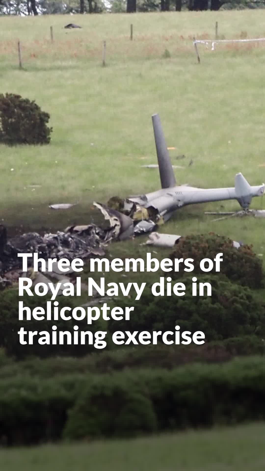 Three members of Royal Navy killed as helicopter crashes on training ...