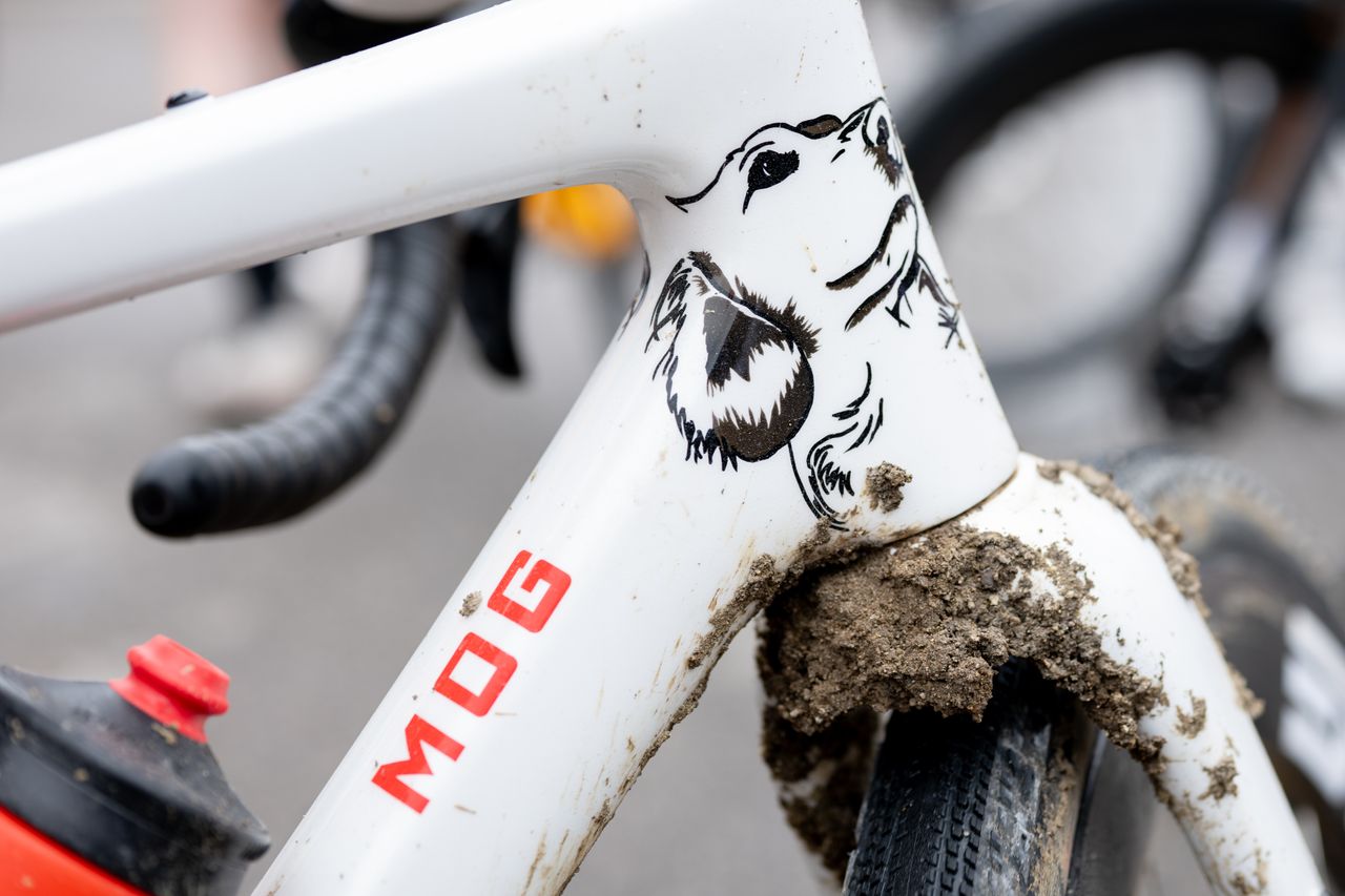 Tribute to a man's best friend - Alexey Vermeulen's custom-painted 'Sir ...
