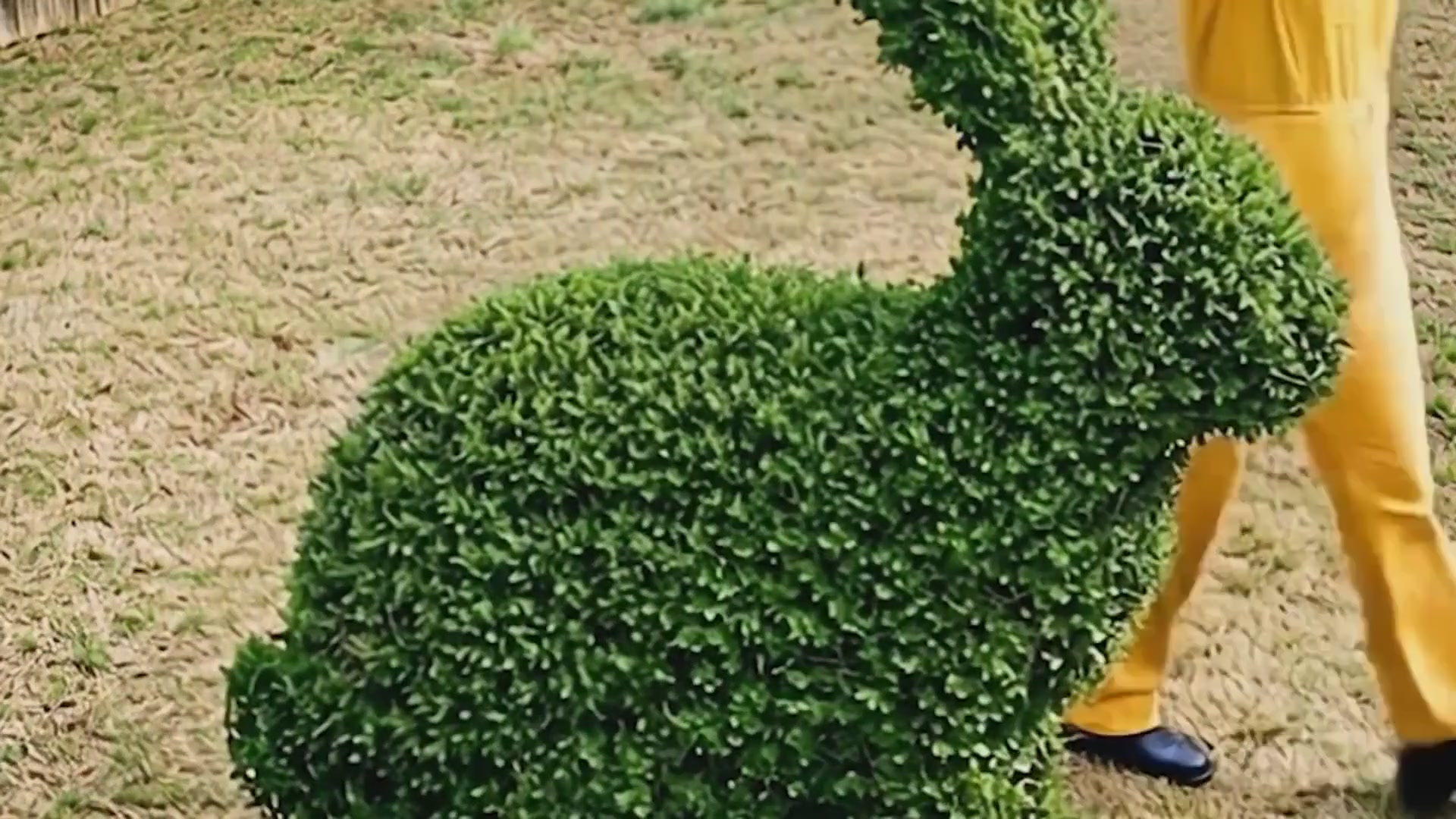 Transform your garden with stylish outdoor decor ideas
